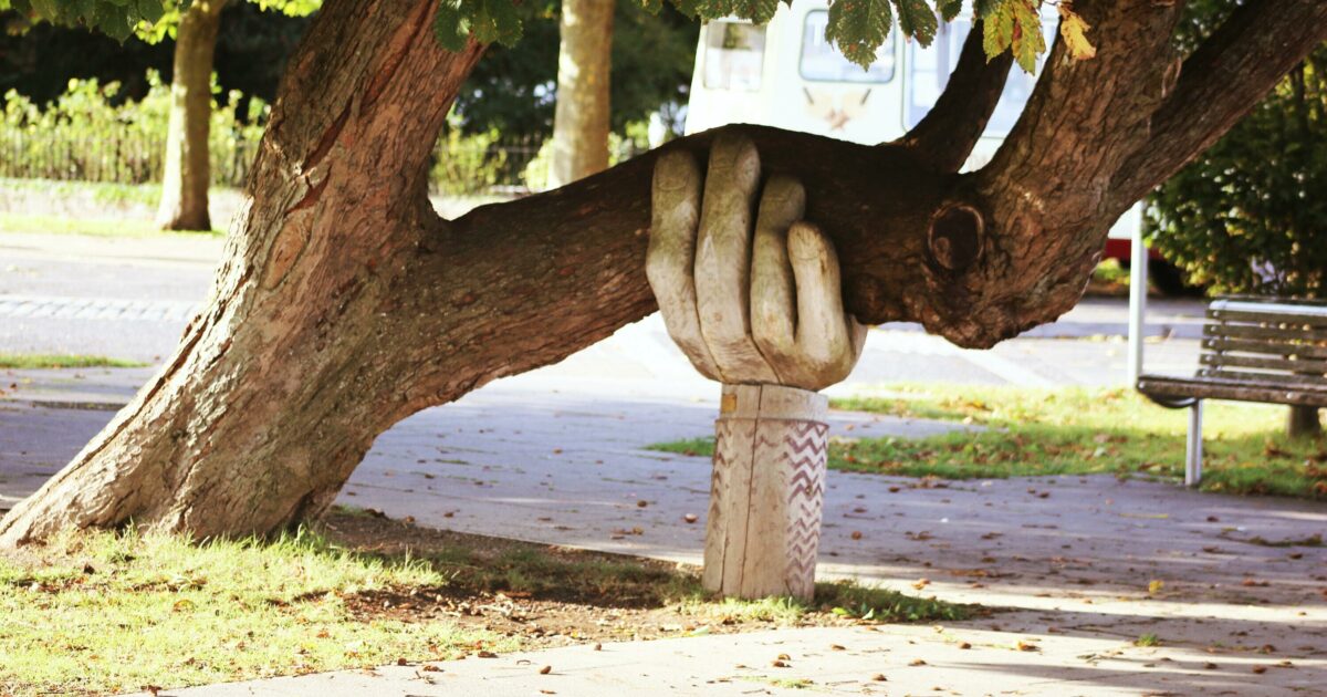 Connect4Care | Support POINT